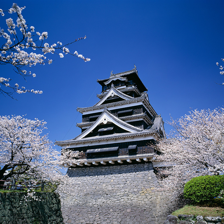 Discover all the best of what Kyushu has to offer | Enjoy! Kyushu